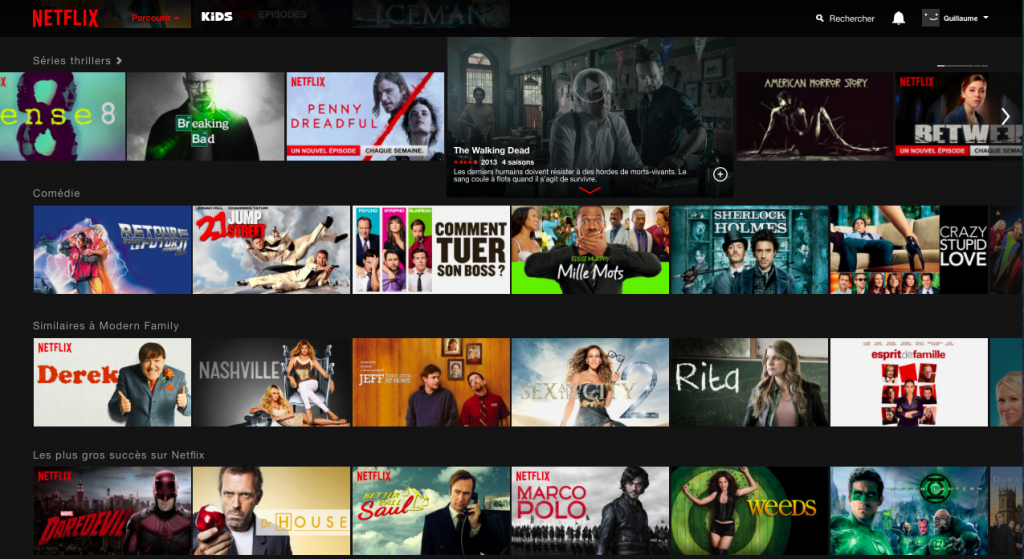 netflix_interface2 - extrem-network